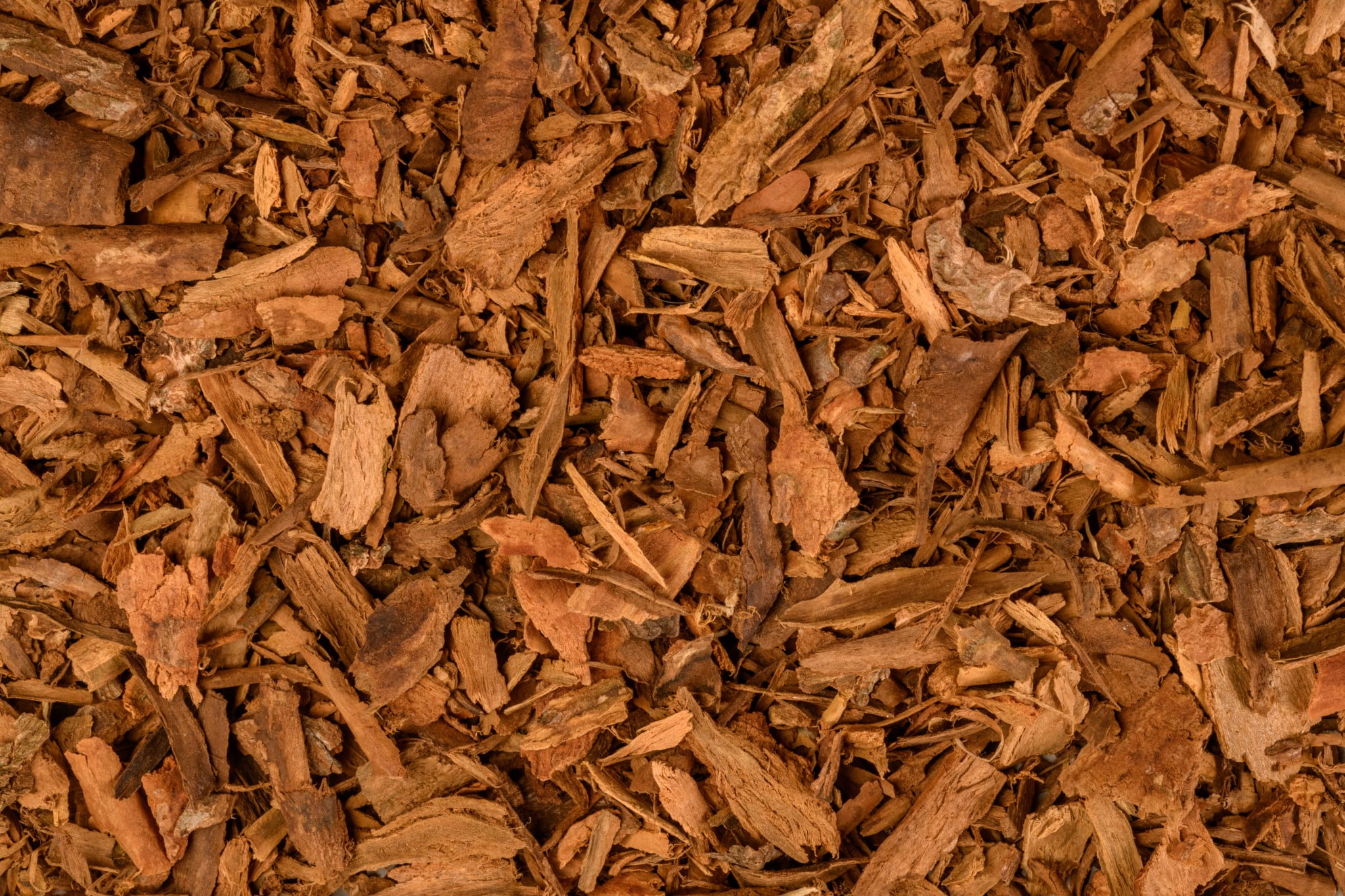 Ceylon Cinnamon Chips - Verger Naturals | Sri Lankan Spices | Vergers ...