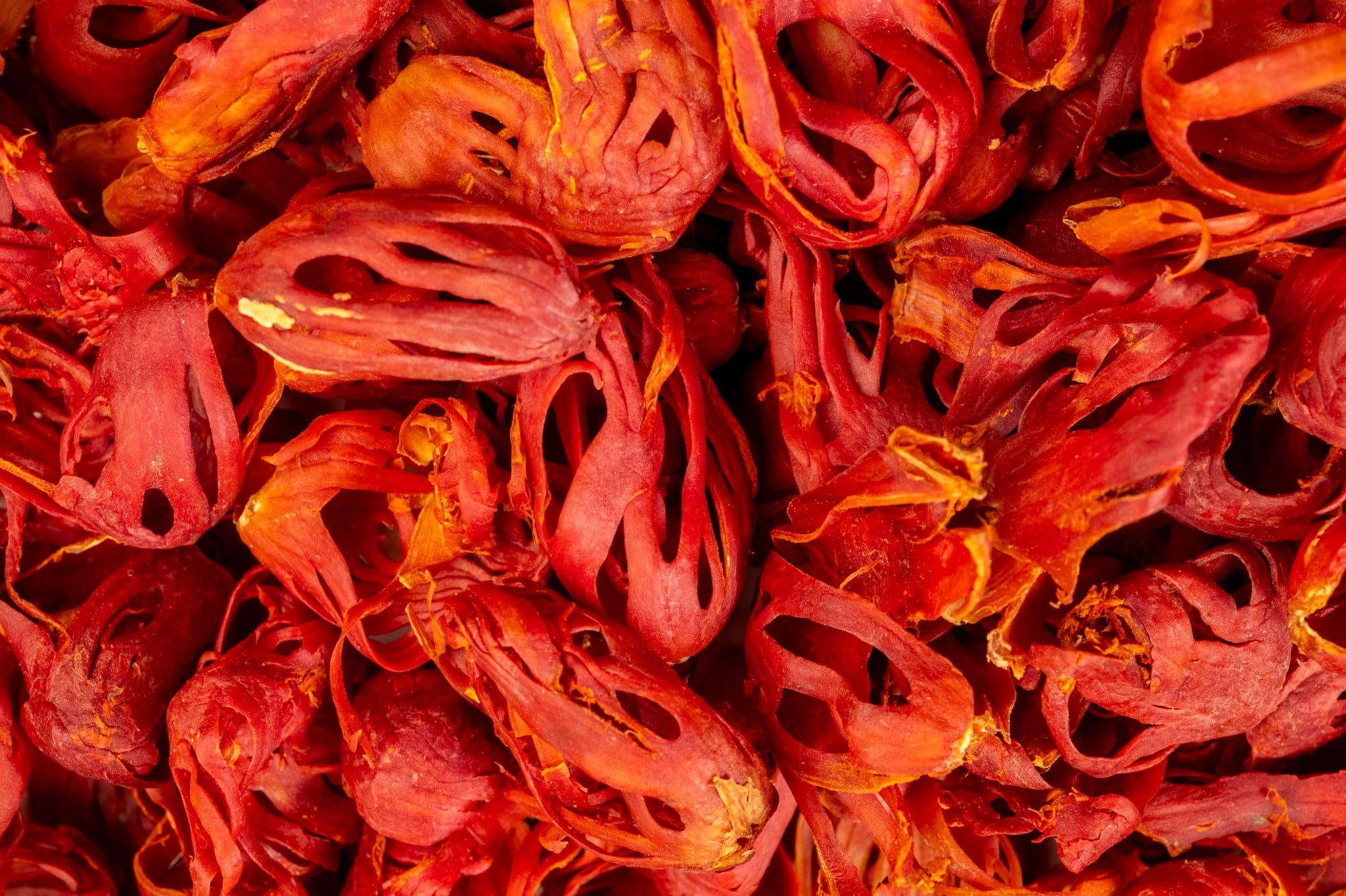 Ceylon Mace HPS - Aromatic Nutmeg Outer Covering | Verger Naturals ...